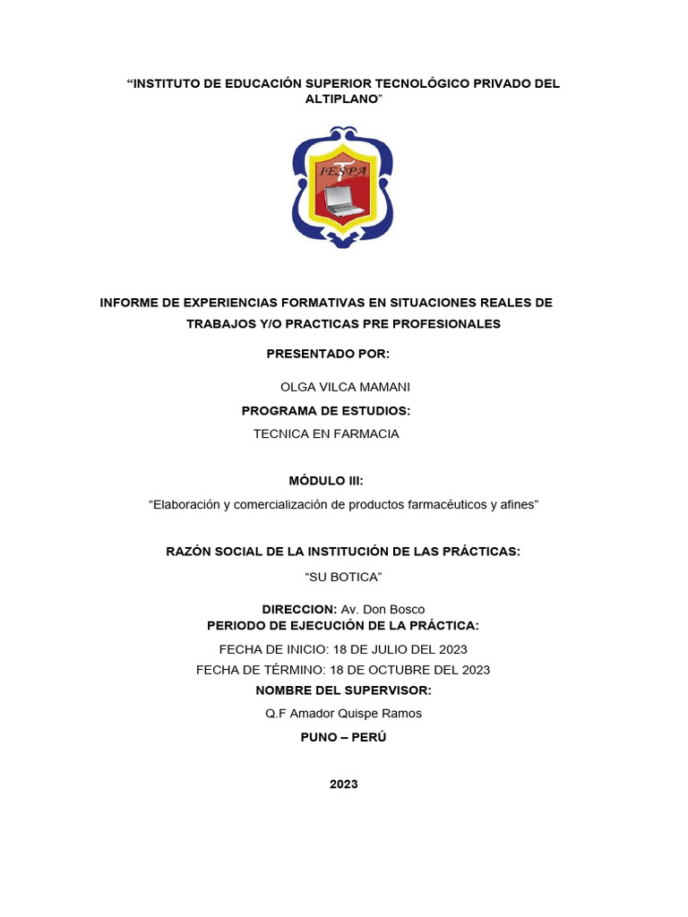 Informe Borrador Original | PDF