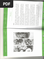 Bat-7 Nivel M Con Soluciones. | PDF