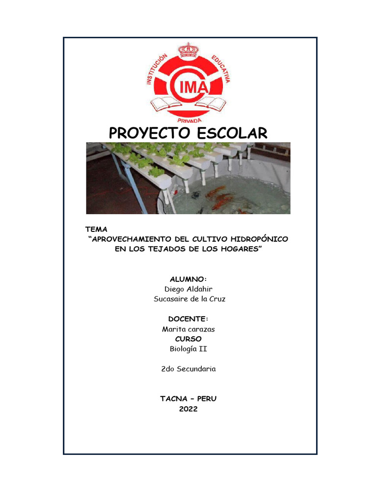 Informe de Hidroponia en La Ciudad | PDF | Acuaponia | Agricultura