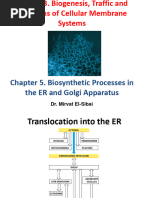 Amoeba Sisters Video Recap | PDF | Cell Membrane | Cell (Biology)