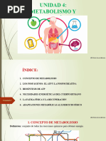 Catálogo de Productos Eurofarma MX | PDF | Materiales | Compuestos químicos