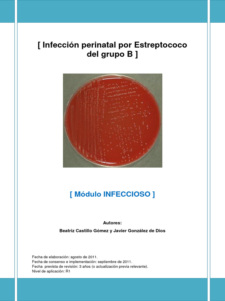 2011 Infección Perinatal Por Estreptococo Del Grupo B | PDF ...