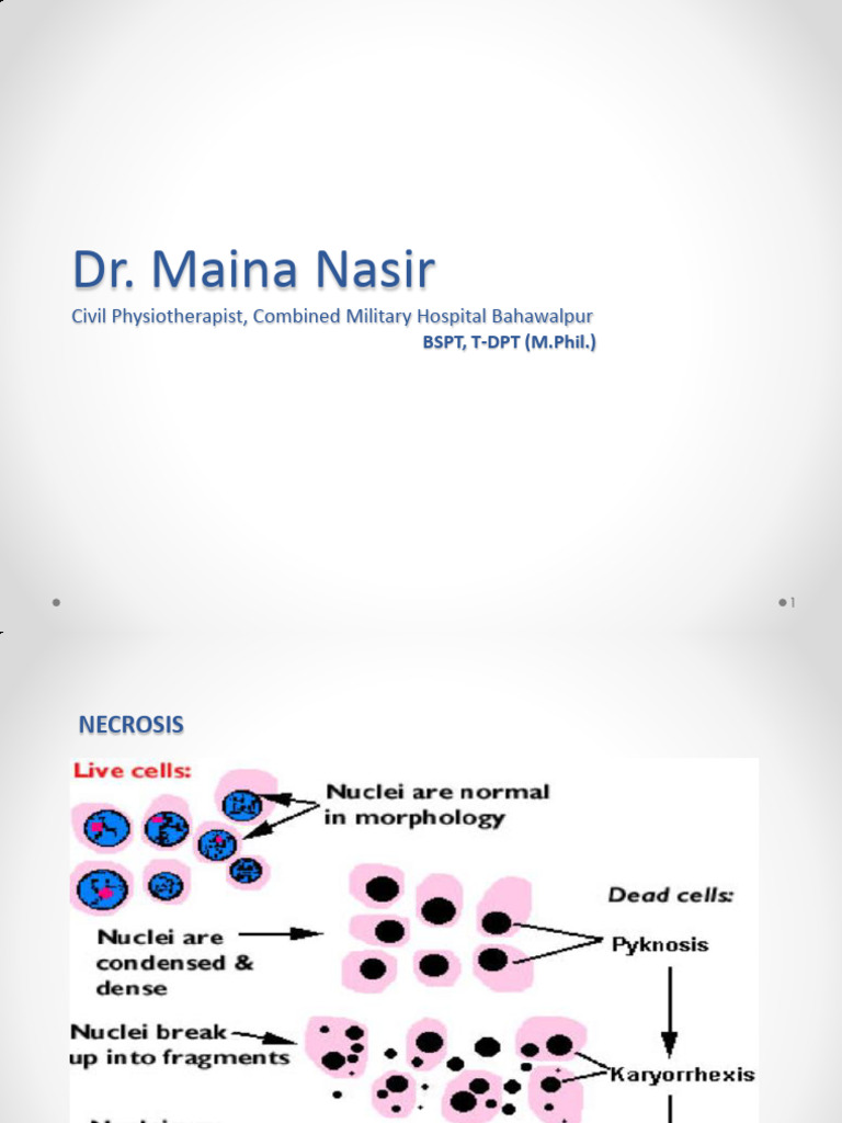 Lecture 05 IUB | PDF | Necrosis | Apoptosis Lecture 05 IUB | PDF | Necrosis | Apoptosis