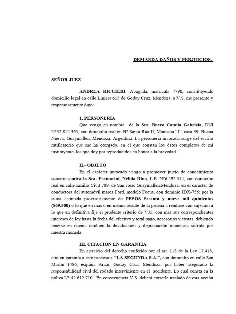 Demanda DyP Bravo Camila (Bien) | PDF | Trastorno mental | Caso de ley