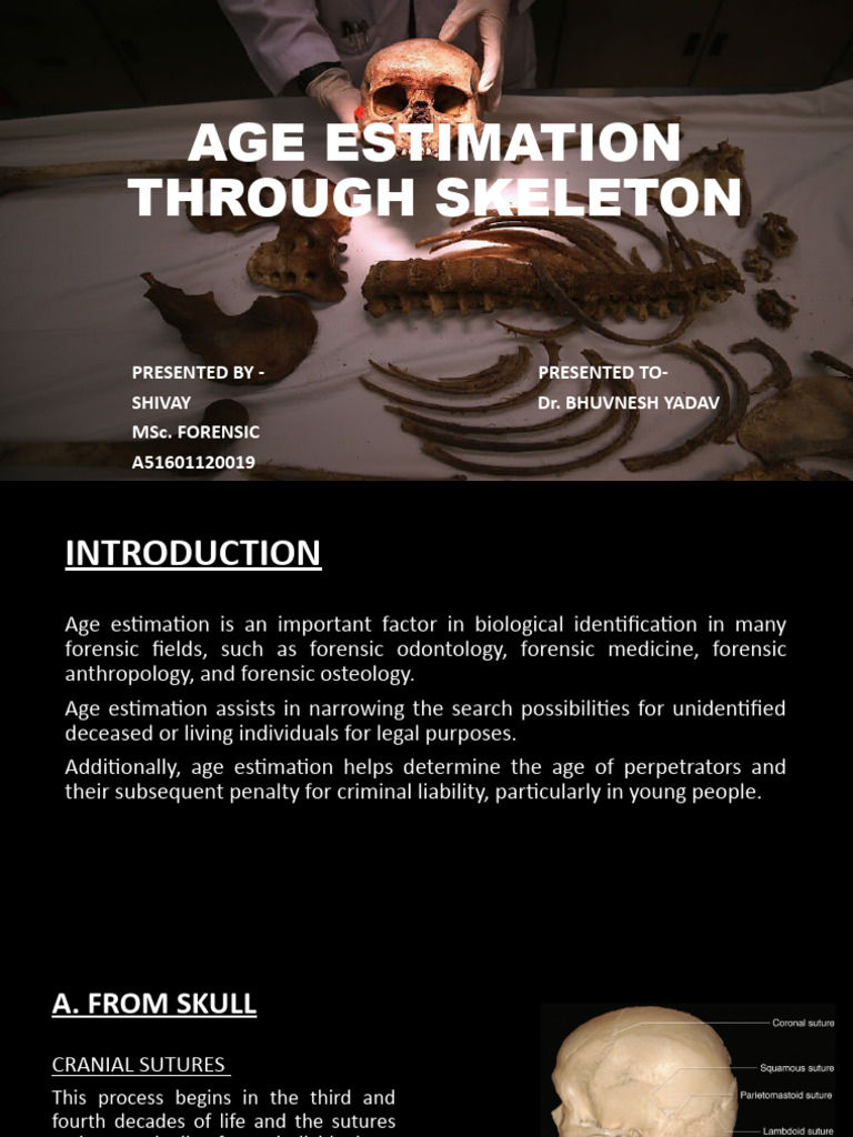 Age Estimation | PDF | Skull | Skeletal System