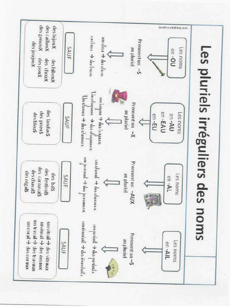 Le Pluriel Irréguliers Des Noms | PDF