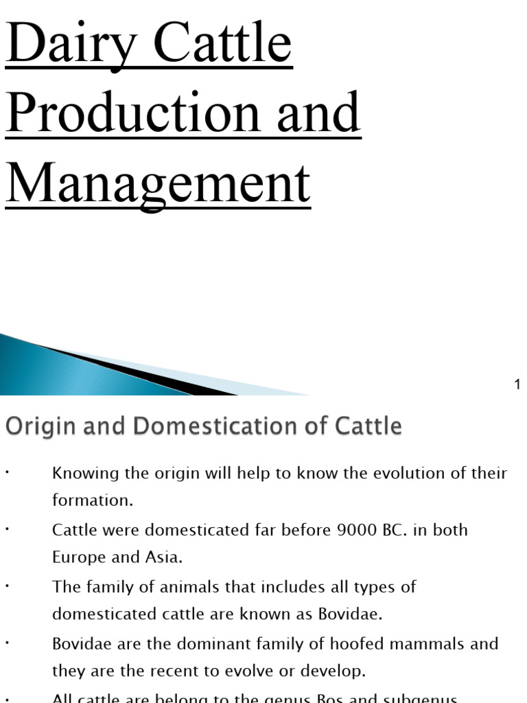Dairy Cattle Production and Wmanagemt Latest | PDF | Dairy Cattle | Cattle