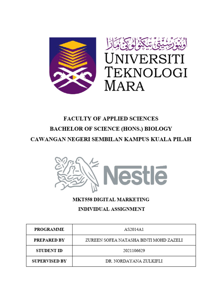 Assignment Individual MGT | PDF | Marketing | Infant Formula