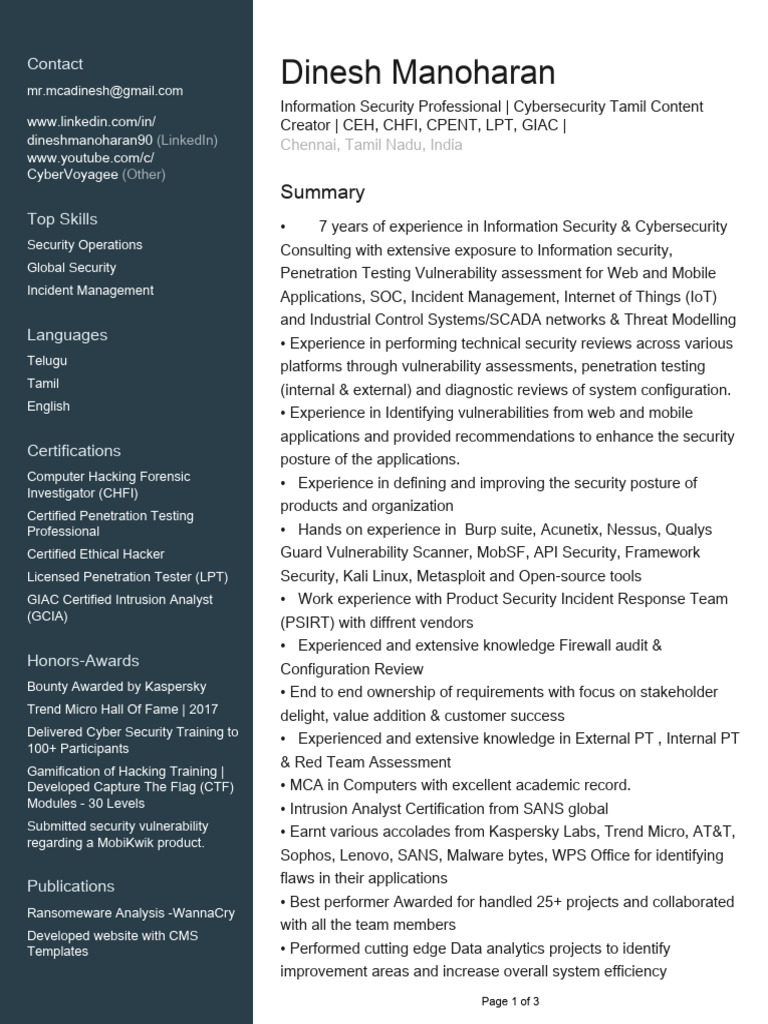 Cyber Voger Resume Model | PDF | Security | Computer Security