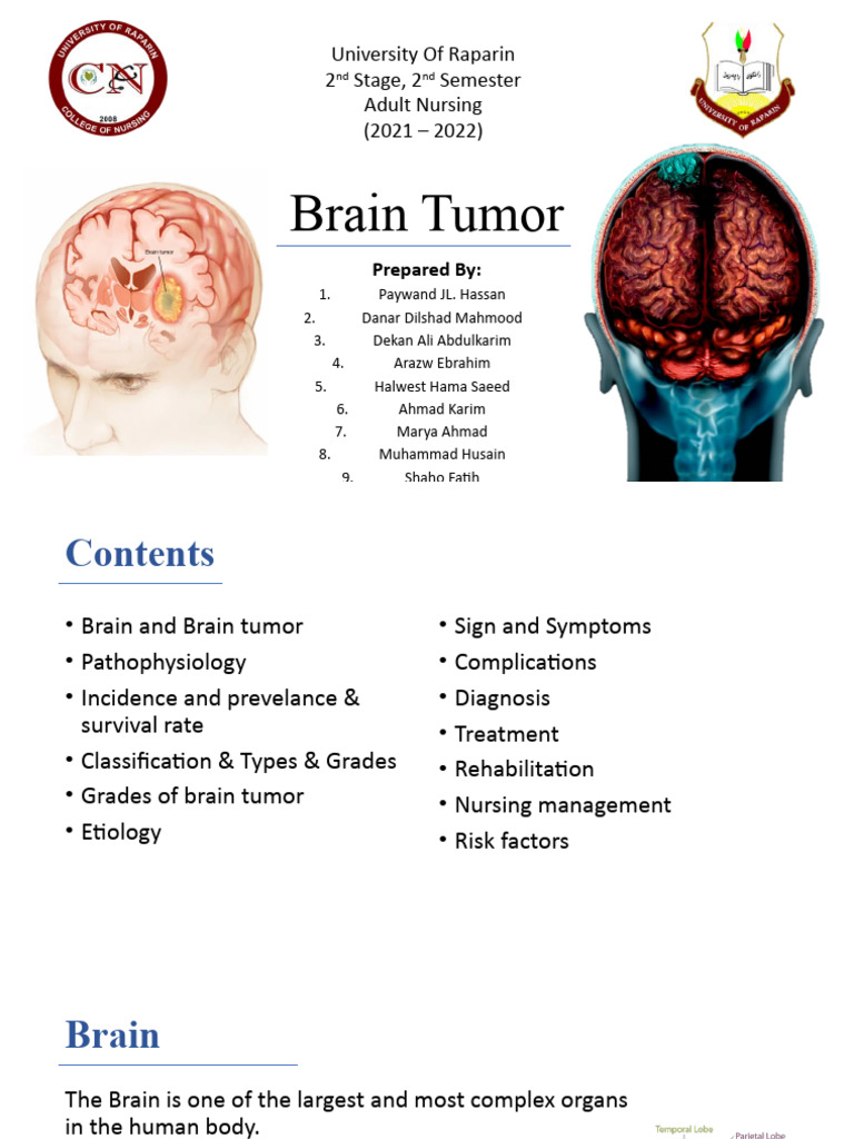 Brain Tumor (Group B) | Download Free PDF | Brain Tumor | Cancer