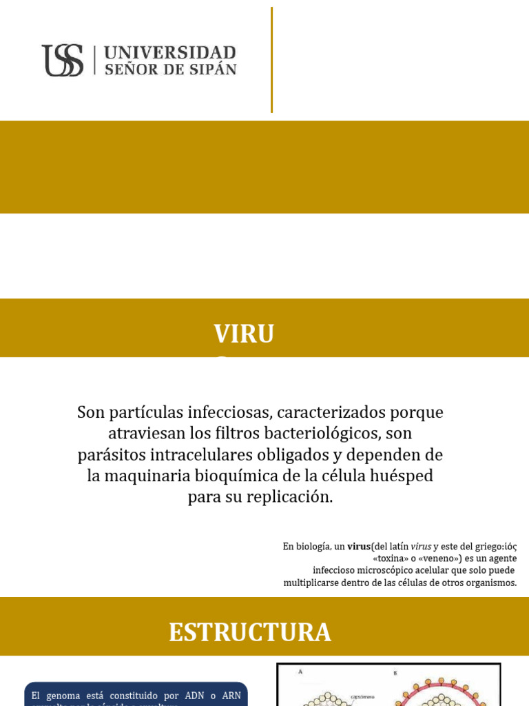 viro para examen | PDF | Influenza | Virus