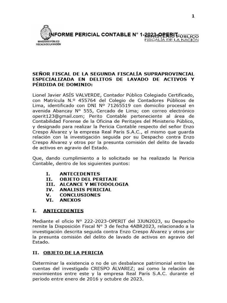 10.Informe-pericial-contable-y-financiero (1) | PDF | Contador ...