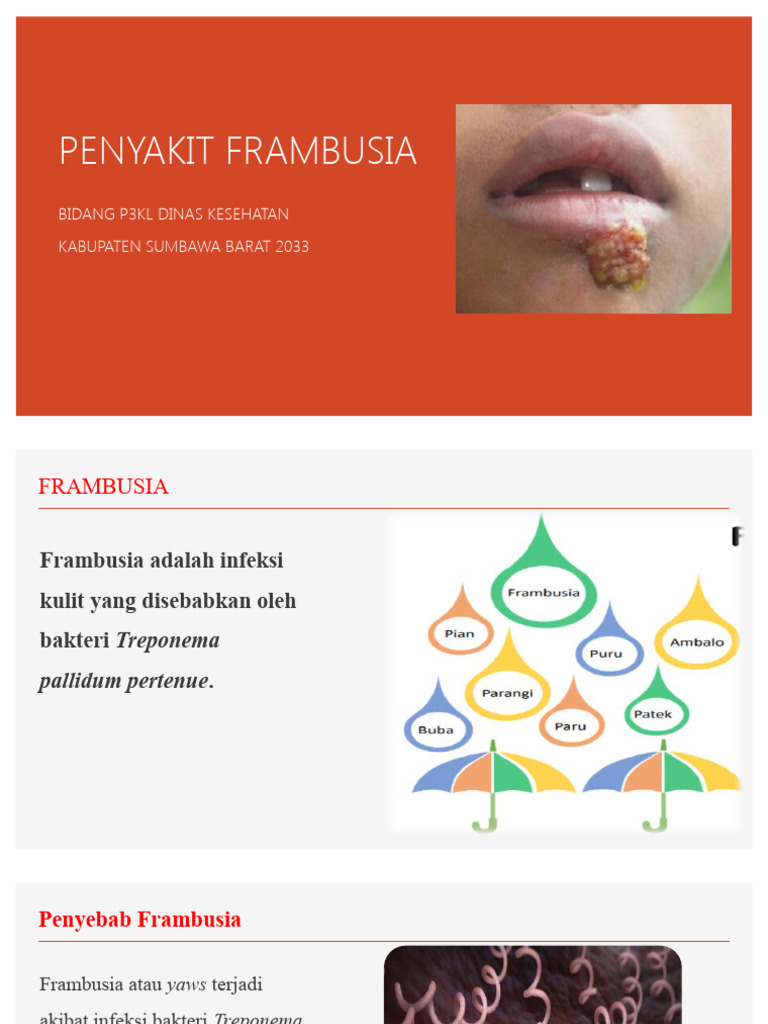 Penyakit Frambusia | PDF | Sains & Matematika