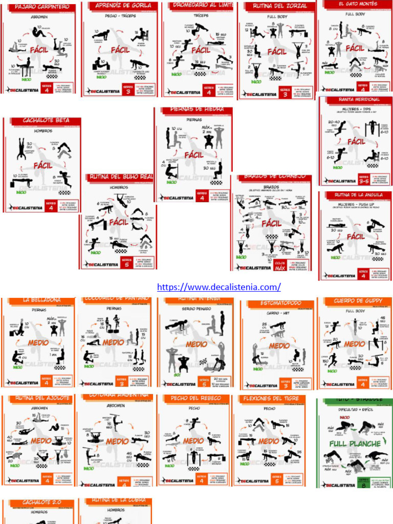 Rutinas De Calistenia Para Principiantes Pdf