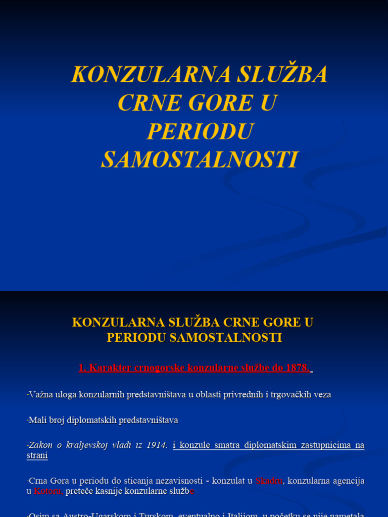 X Prezentacija IDCG | PDF