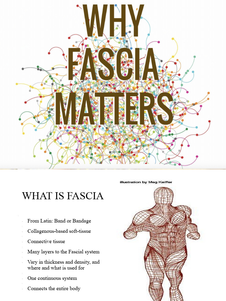 Why Fascia Matters | PDF
