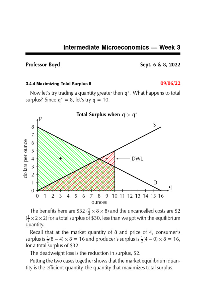 Intermed 03 | PDF | Economic Surplus | Microeconomics