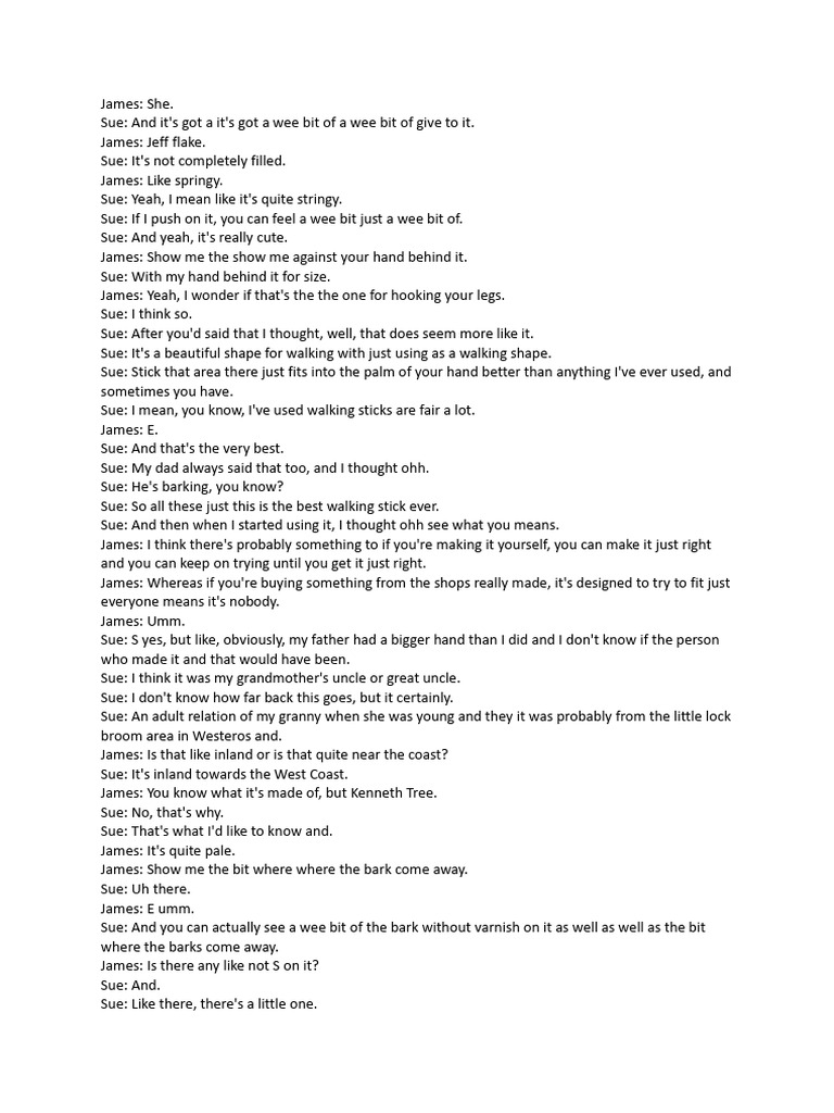 Interview Transcript | PDF | Paint | Acrylic Paint