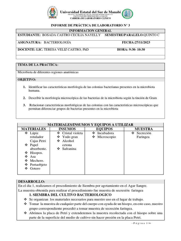 Bosada - PRÁCTICA 3 BACTERIOLOGÍA PII 2023 | PDF | Las bacterias | Tinción