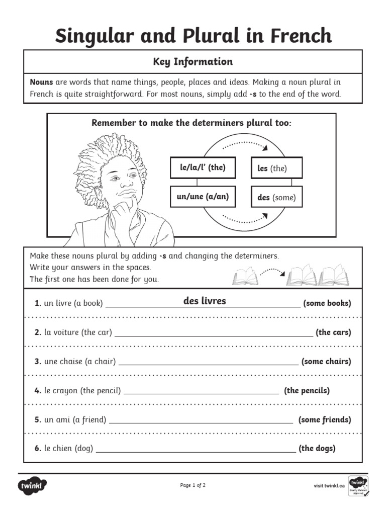 French Noun Pluralization Guide | PDF | Plural | Noun