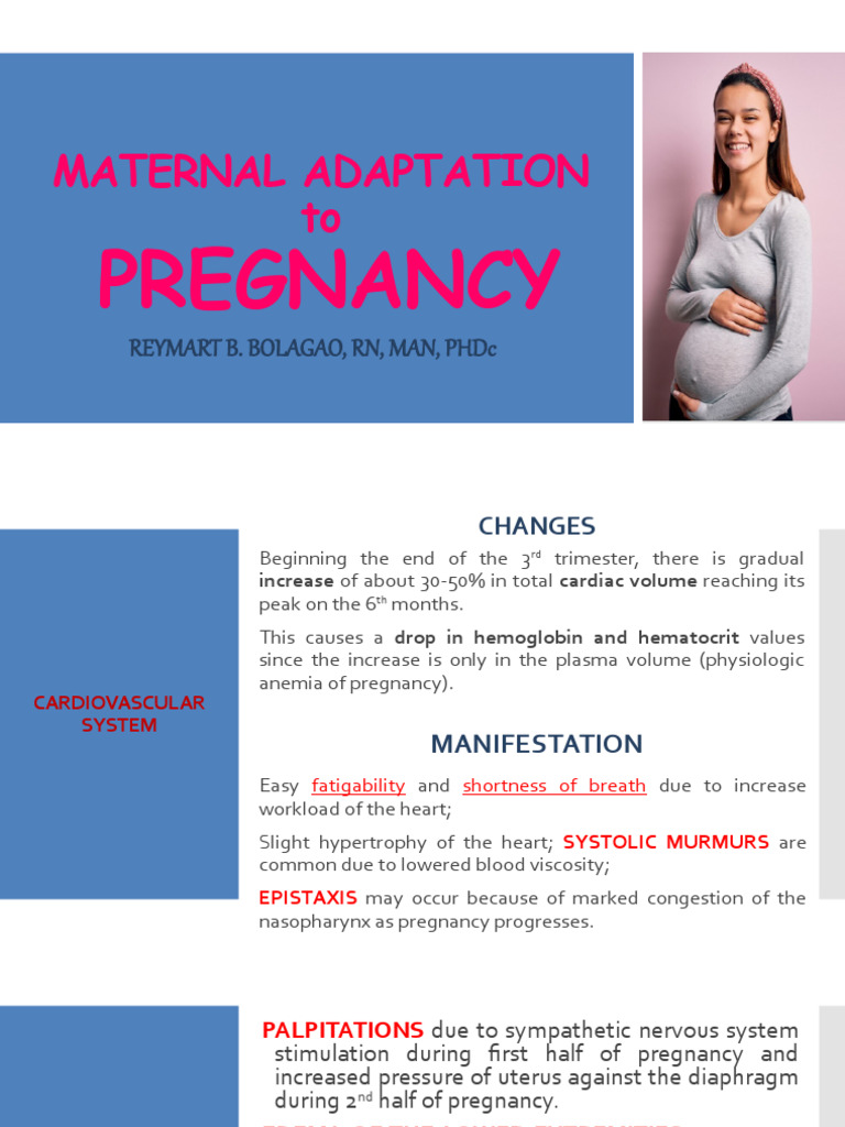 A. Maternal Adaptation in Pregnancy | PDF | Thrombosis | Tissue (Biology)