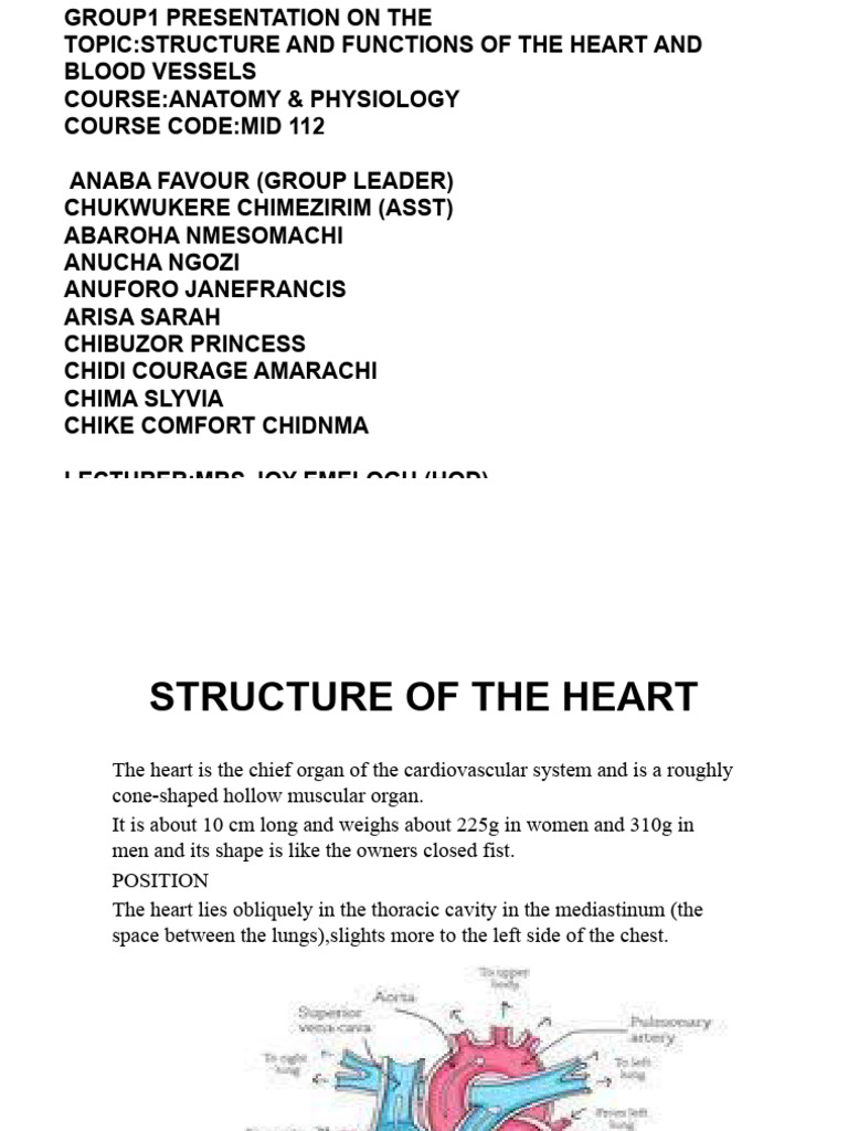 Group1 Presentation On The Heart | PDF | Heart | Atrium (Heart)