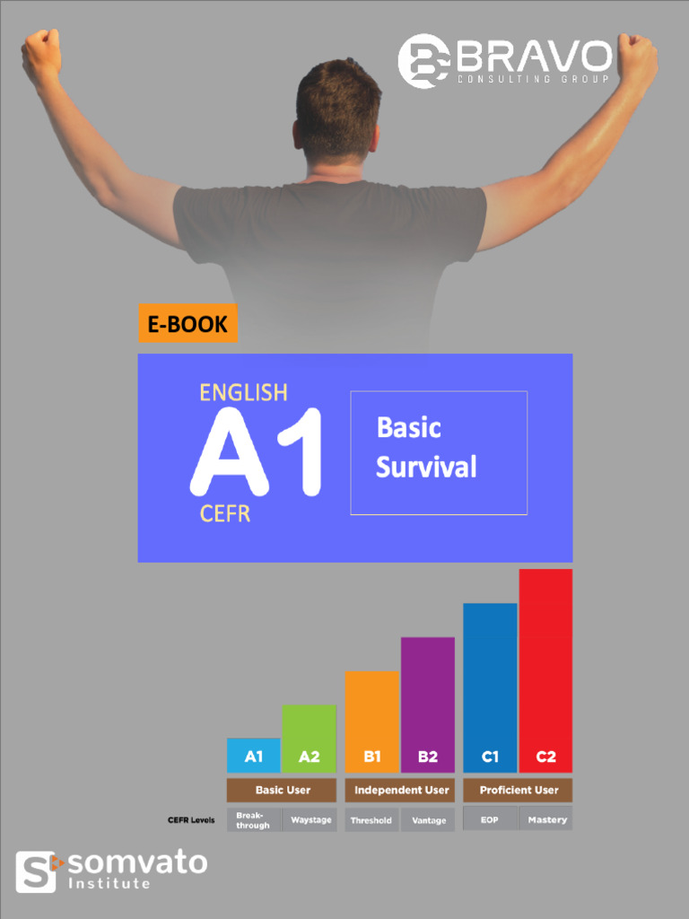 English A1 Beginner Course E-Book | PDF | Noun | Grammatical Tense