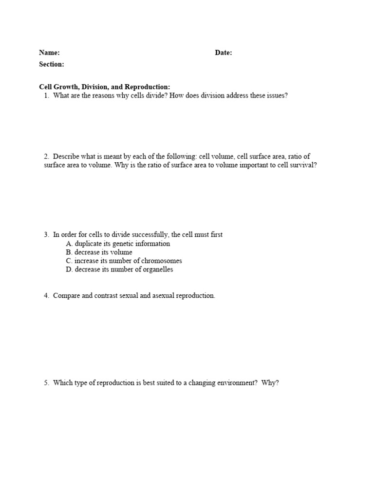 Cell Cycle Worksheet | PDF | Cell (Biology) | Mitosis