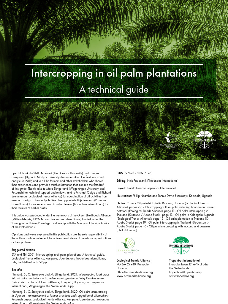 Intercropping in Oil Palm Plantations A Technical Guide | Download Free ...