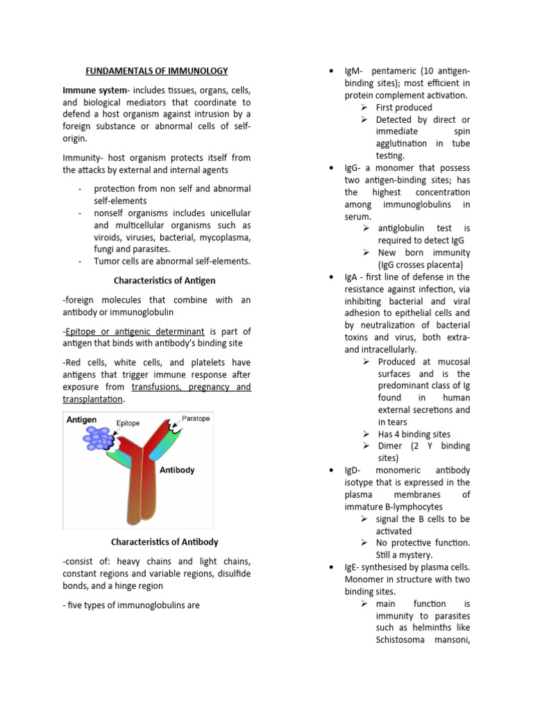 Fundamentals of Immunology | PDF | Antibody | Anatomy