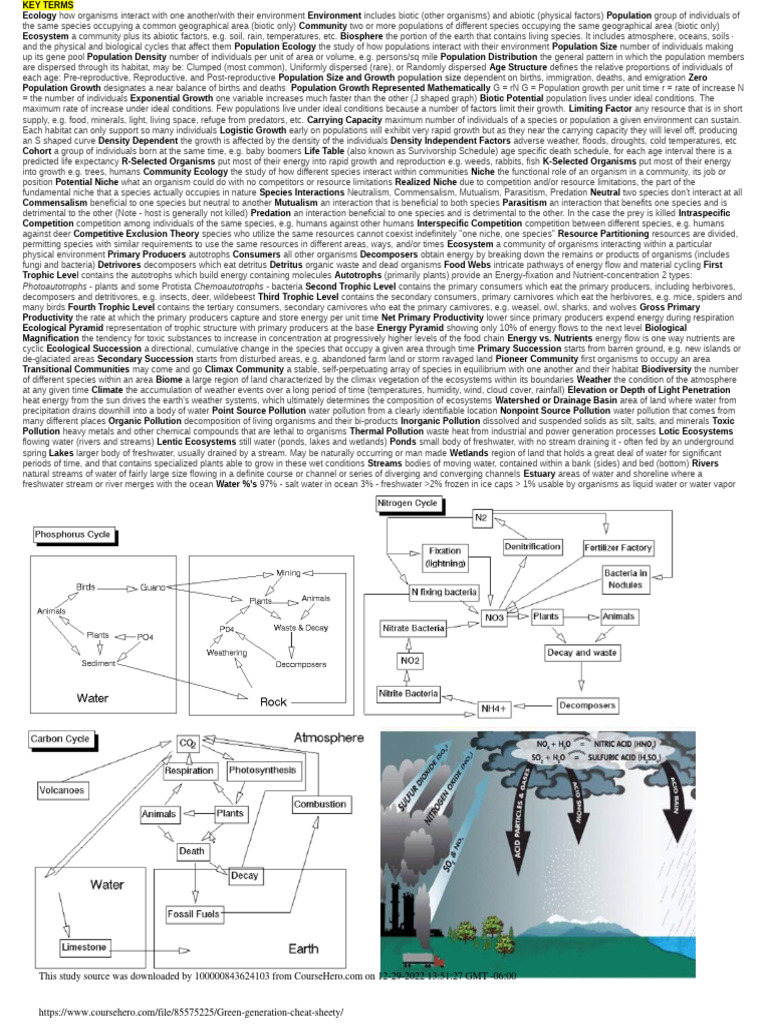 Green Generation Cheat Sheety Pdf Water Food Web