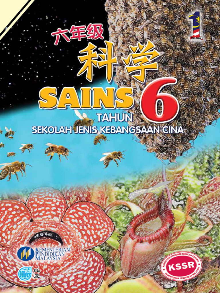 Sains Tahun 6 SJKC | PDF