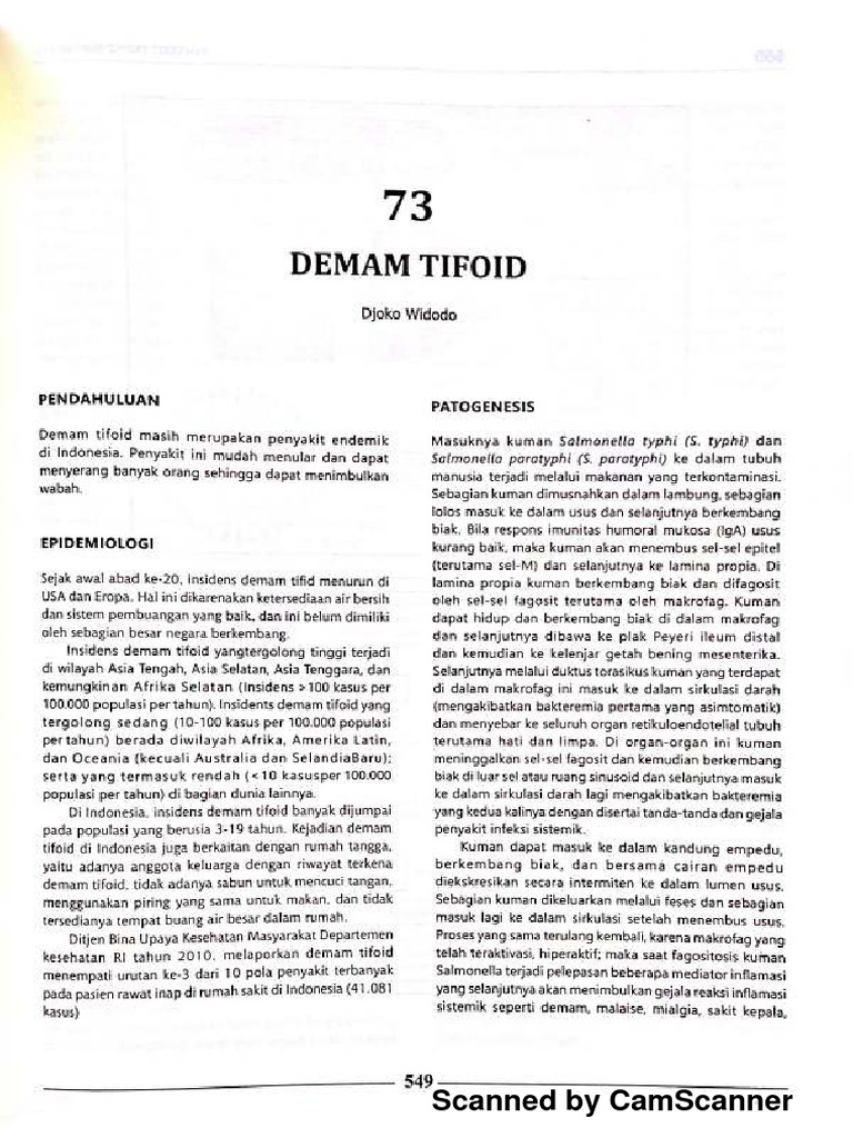 73 Demam Tifoid | PDF