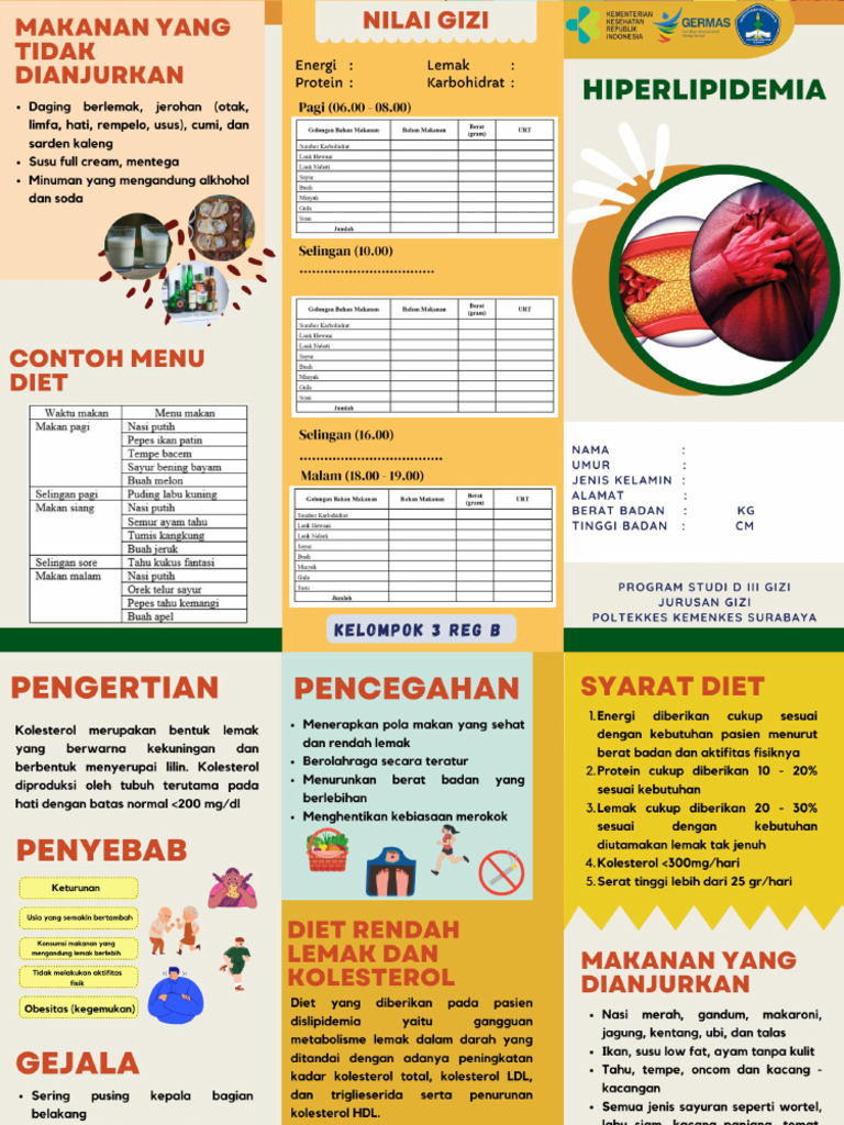 Kelompok 3 - Leaflet Hiperlipidemia | PDF