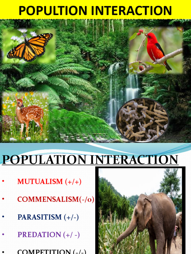 Understanding Population Interactions | PDF | Parasitism | Predation