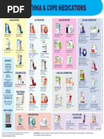 Respiratory Inhaler Identification Chart | PDF | Pharmaceutical ...