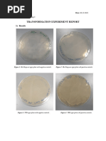 Molecular Basis of Inheritance Class12 | PDF | Dna | Rna