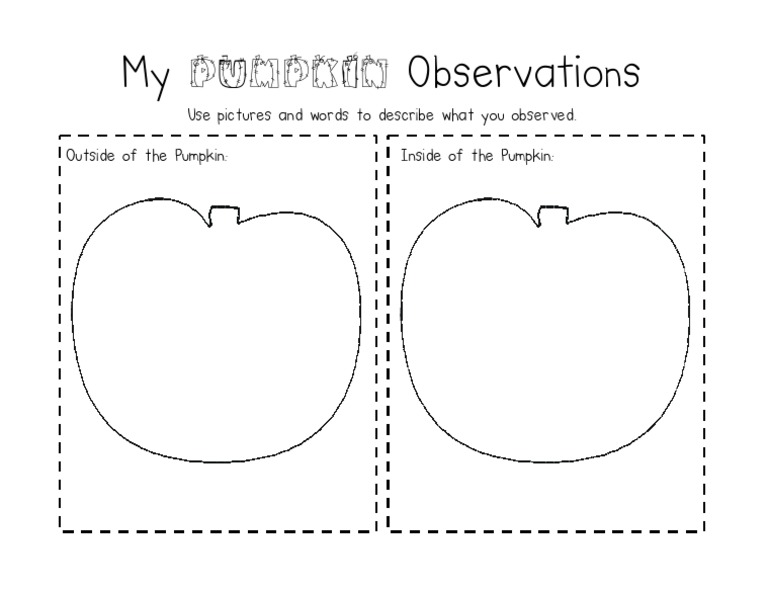 Pumpkin Observation | PDF