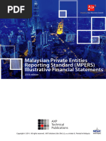 CaseWare Manual | PDF | Financial Audit