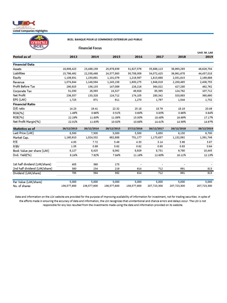 Bcel 2019 | PDF | Return On Equity | Business Economics