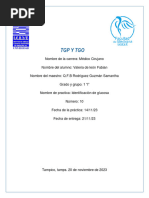Transaminasas - TGO, TGP y GGT | PDF | Transaminasa | Especialidades Medicas
