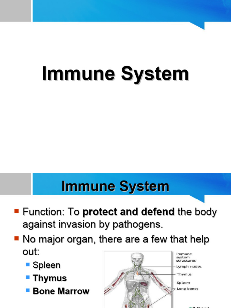 Immune System | PDF | Hiv/Aids | Immune System