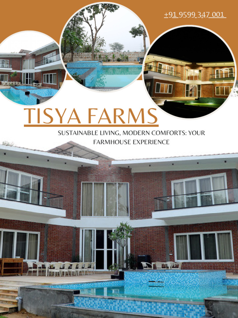 Tisya Farms Brouchers | PDF | Lunch | Cuisine