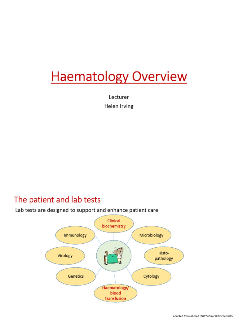 T1-Haematology Introduction and Tools | PDF | Haematopoiesis | White ...