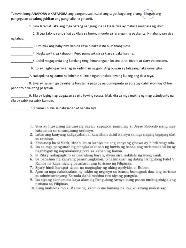Anapora AT Katapora Worksheet | PDF