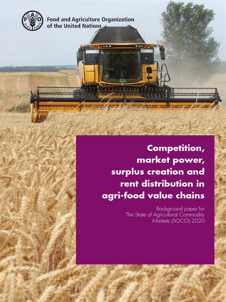 Competition & Market Power | PDF | Market (Economics) | Retail