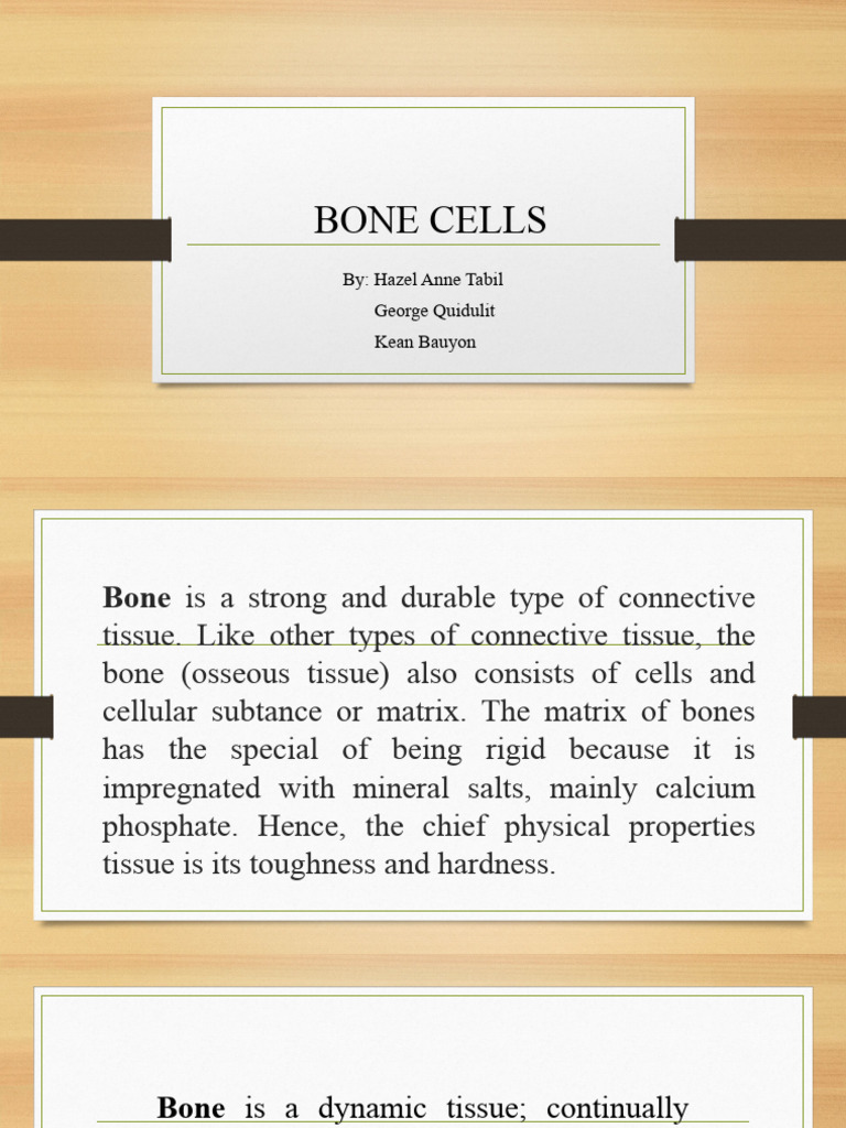 Group 5 | PDF | Bone | Osteoblast
