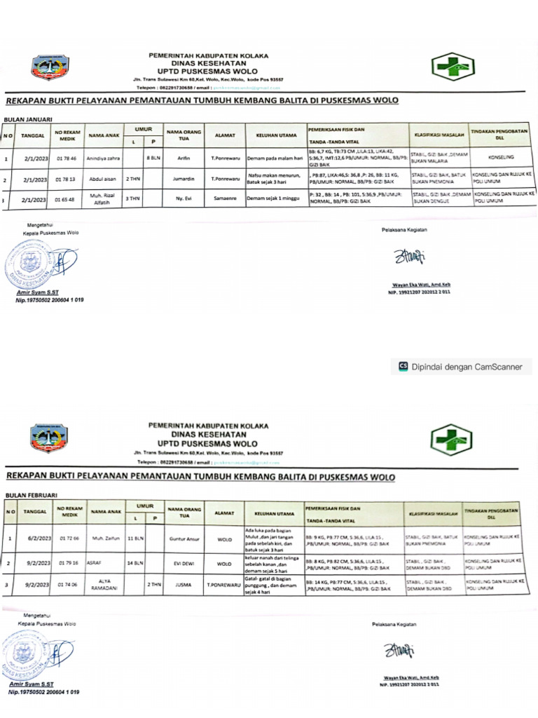 Rekapan Pelayanan Tumbuh Kembang Balita Januari - Juni | PDF