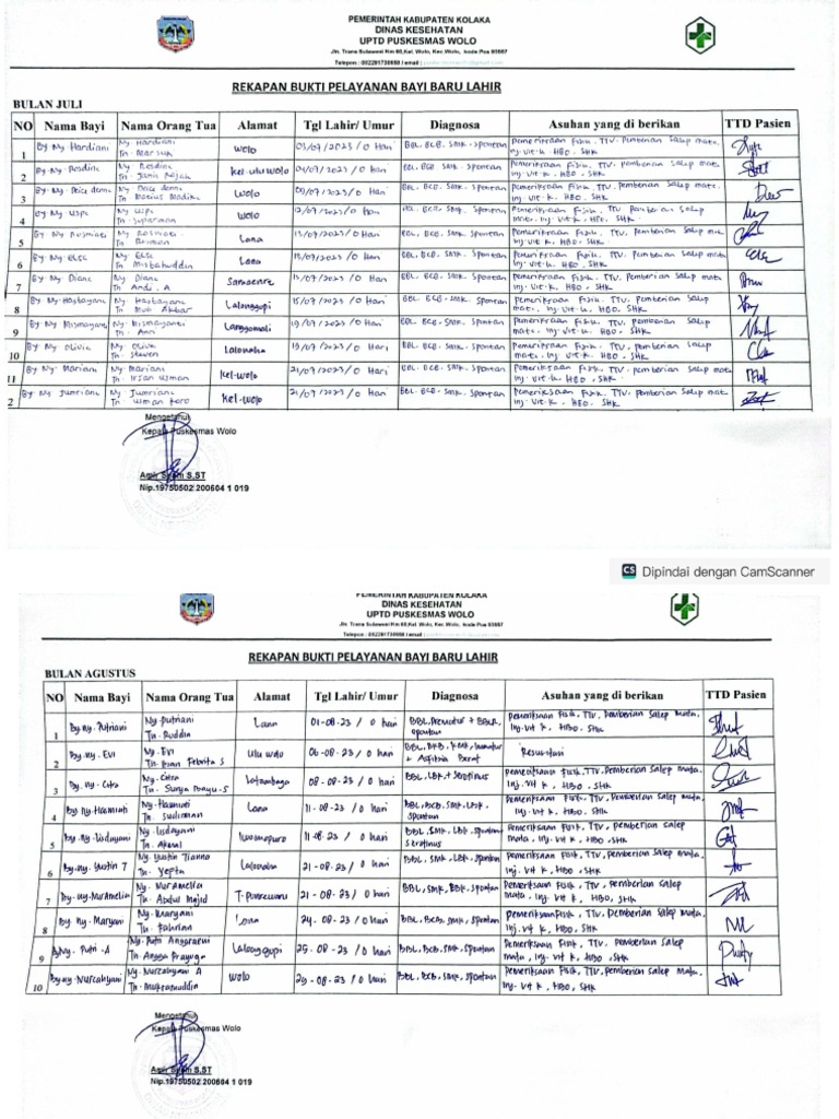 Rekapan Pelayanan Dan Pencegahan Komplikasi Bayi Baru Lahir | PDF