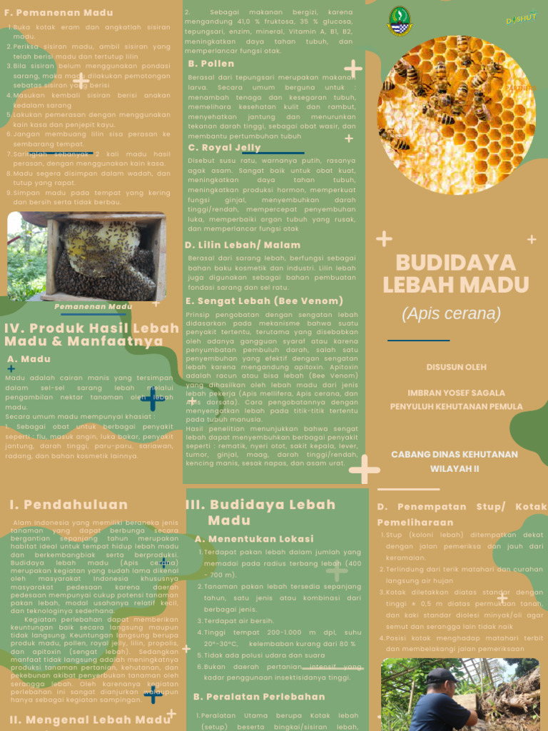 Lebah Madu Apis Cerana | PDF